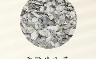 蚵仔的功效与作用_蚵仔怎么吃最营养