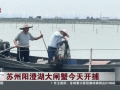 阳澄湖大闸蟹什么时候开捕_正宗开捕日期