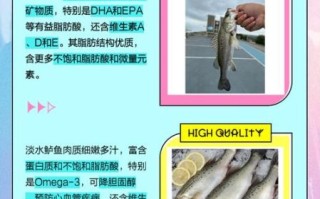 鲈鱼是海鱼吗_淡水鲈鱼和海鲈区别