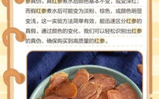 红参植物图片长什么样_如何区分真假红参