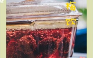 杨梅汤怎么煮_杨梅汤做法视频教程