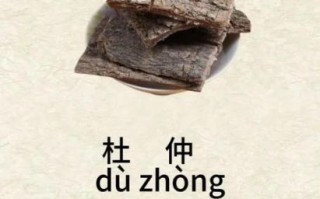 杜仲图片长什么样_杜仲功效图片有哪些作用