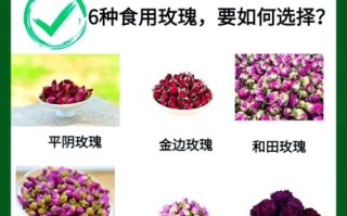 食用玫瑰花图片_如何挑选可食用玫瑰