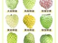 释迦果怎么吃有什么好处_释迦果的功效与作用