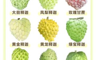 释迦果怎么吃有什么好处_释迦果的功效与作用