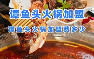 谭鱼头火锅好吃吗_谭鱼头火锅加盟费多少