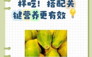 木瓜丰胸食谱怎么做_木瓜怎么吃才丰胸