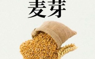 麦芽图片怎么拍_麦芽图片拍摄技巧