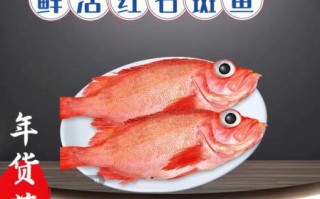 红石斑鱼的功效与作用_红石斑鱼怎么吃最营养