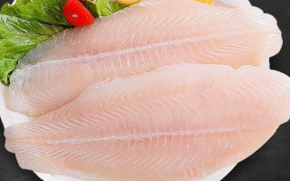 巴沙鱼高清图片怎么拍_巴沙鱼高清图片哪里找