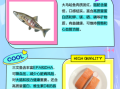 马哈鱼是什么鱼_马哈鱼和三文鱼的区别