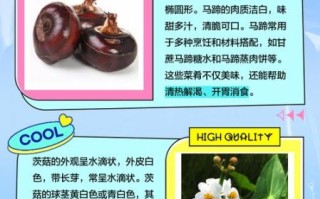 茨菰拼音怎么读_茨菰和荸荠区别在哪