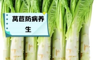 莴笋是发物吗_术后能吃莴笋吗