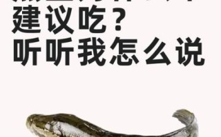 98年黑鱼吃人事件真相_黑鱼会攻击人类吗