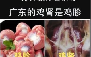 鸡肾和鸡睾丸的区别_鸡肾和鸡睾丸哪个更补