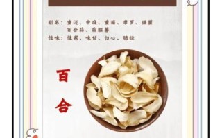 百合怎么吃最好吃_百合有哪些家常做法