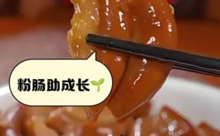 粉肠的功效与作用_粉肠适合什么人吃