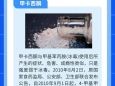 西布曲明瘦的太快了_副作用有哪些