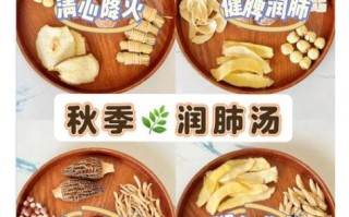 秋季养生汤有哪些_秋季润肺汤怎么做
