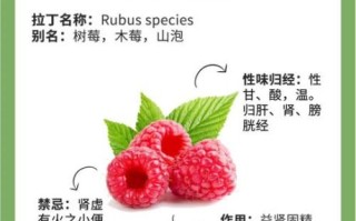 覆盆子有什么功效_覆盆子怎么吃最好