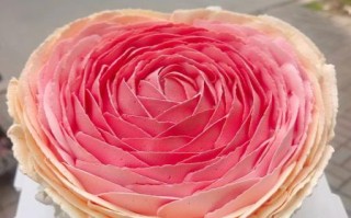 情人节玫瑰花蛋糕怎么做_玫瑰花蛋糕图片大全