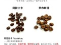 咖啡豆种类有哪些_阿拉比卡和罗布斯塔区别
