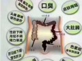 酵素减肥原理是什么_酵素减肥真的有用吗