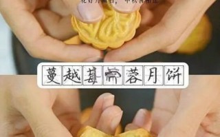 椰蓉月饼怎么做_椰蓉月饼做法家庭版