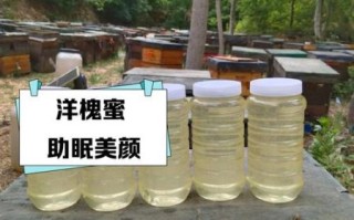 洋槐蜂蜜的功效与作用_洋槐蜂蜜适合什么人吃