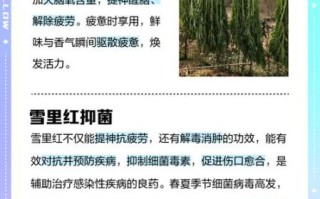 雪里红为什么叫雪里红_雪里红名字的由来