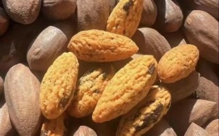 香榧子多少钱一斤_香榧子功效与作用有哪些