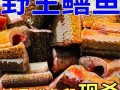 鳝鱼怎么杀_鳝鱼宰杀视频教程