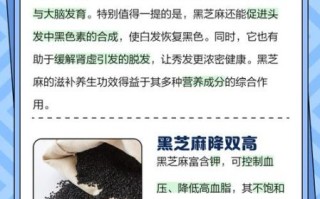 黑芝麻的功效与作用_黑芝麻怎么吃最好
