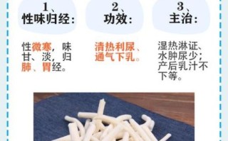 大通草和小通草哪个下奶效果好_怎么选