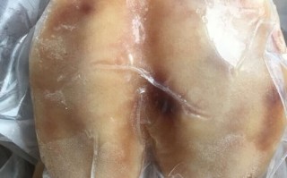 骆驼蹄子的功效与作用_骆驼蹄子能治什么病