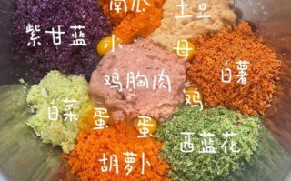 自制狗粮的做法大全_狗狗能吃哪些食材