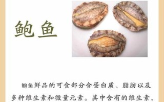 小鲍鱼的营养价值及功效_适合哪些人吃