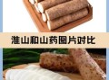 淮山和山药哪个适合煲汤_煲汤用淮山还是山药
