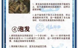 鲜海参怎么处理_鲜海参怎么泡发才软