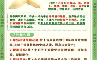白萝卜的功效与作用_白萝卜的副作用有哪些