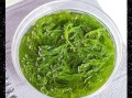 龙须菜正常颜色_龙须菜颜色发黄还能吃吗