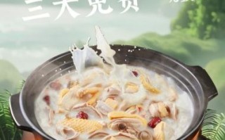 猪肚煲鸡的功效与作用_适合什么人吃