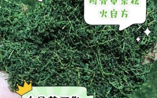 鸡骨草和什么相克_鸡骨草不能和什么一起吃