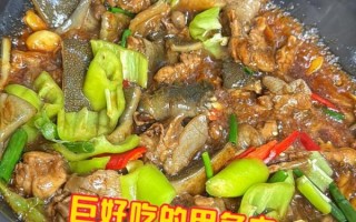 家常甲鱼的做法_怎么炖才没有腥味