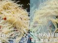 糖醋土豆丝怎么做_糖醋土豆丝的做法窍门