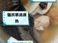 猫肉煲汤的做法大全_猫肉煲汤怎么做好吃