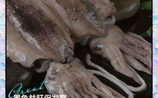 墨鱼哪些人不能吃_墨鱼禁忌人群有哪些