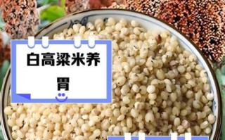 白高粱米的功效与作用_白高粱米的禁忌有哪些