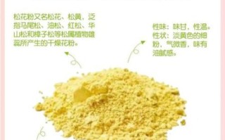 松花粉的功效与作用_松花粉能治什么病