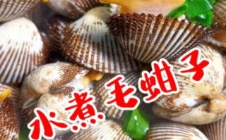 毛蚶煮多久能去寄生虫_毛蚶煮几分钟最安全